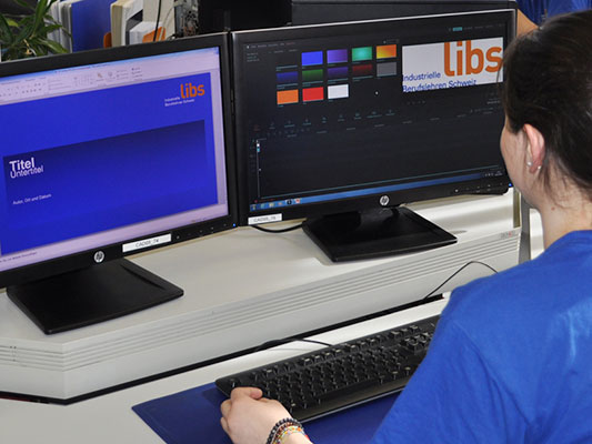 ICT-Fachmann/-Fachfrau EFZ: Libs